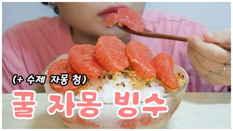 직접 만든 자몽 빙수 먹방 리뷰🍨 연어 덮밥 아닙니다 😂 Mukbang And Review Youtube