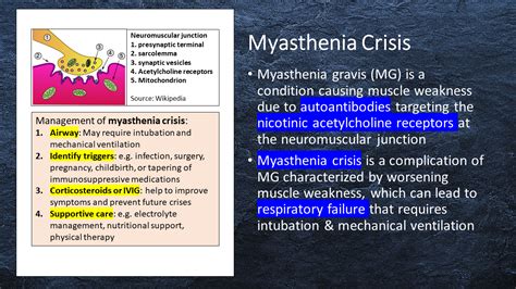Myasthenia Gravis Causes