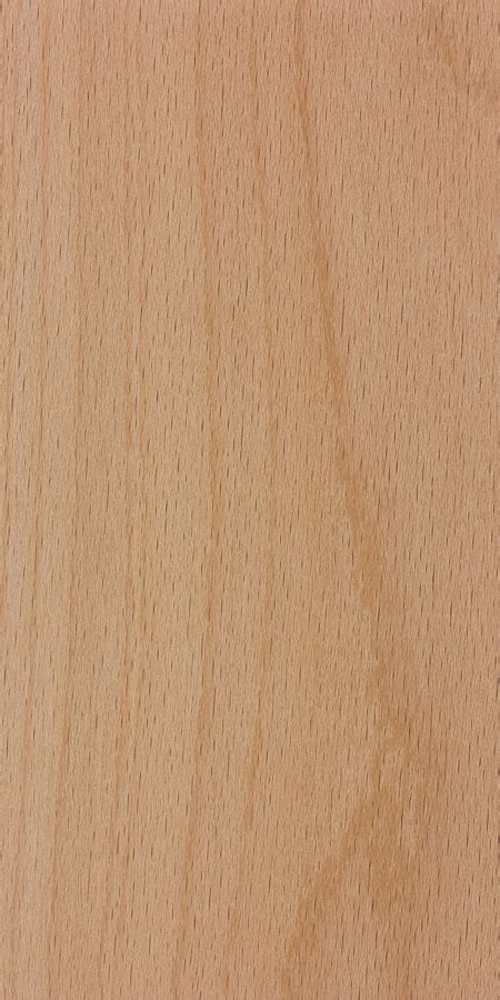 European Beech The Wood Database Hardwood