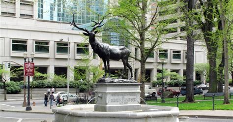 The Elk | Portland.gov