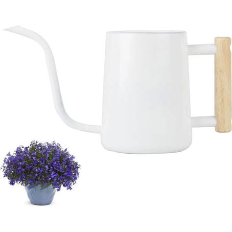 Arrosoir en acier inoxydable de 1 L avec long bec et poignée en bois