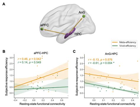 Resting State Functional Connectivity Analysis And Anatomical Double Download Scientific
