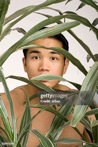 Hide And Seek White Background Photos And Premium High Res Pictures