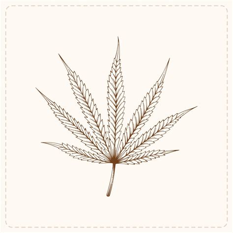 Нарисованная рукой иллюстрация контура листа марихуаны Бесплатно векторы