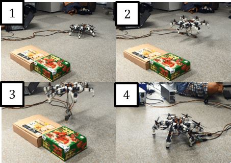 Preliminary Experiment Result Download Scientific Diagram