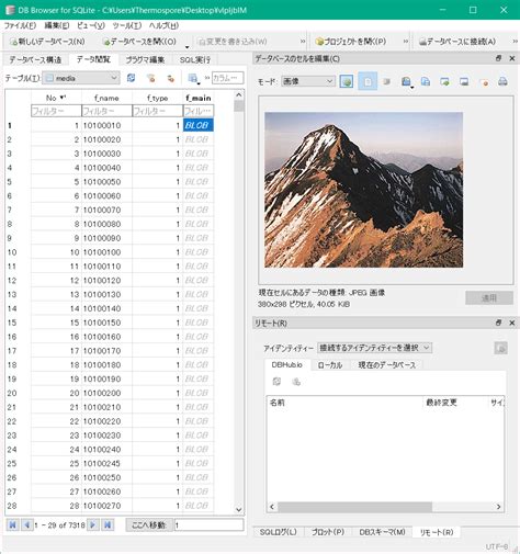basic question bulk export images · issue 3183 · sqlitebrowser