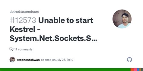 Unable To Start Kestrel Systemnetsocketssocketexception 10013