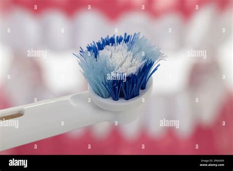 Tête de brosse à dents électrique usée par Oral B modèle de soins
