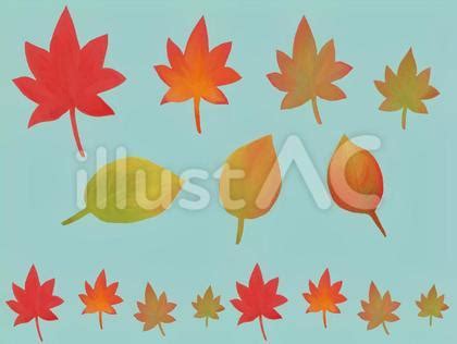 紅葉 png背景は透過になりますイラスト No 23089000無料イラストフリー素材ならイラストAC