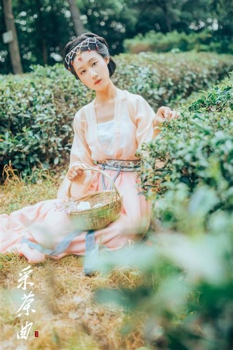 採茶新芽嬌嫩倚春暉纖指溫柔玉露稀 每日頭條