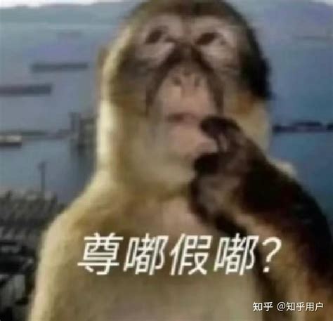 夏威夷山火 53 人死亡，目前灾区情况如何？ 知乎