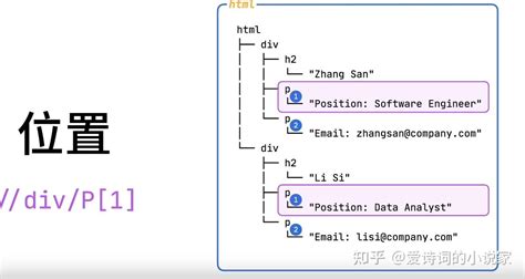 影刀高级课程 Xpath 定位元素 知乎