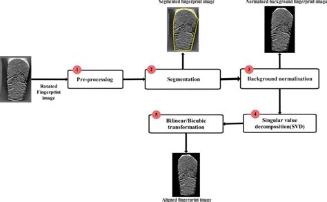 An Overview Of The Proposed Alignment Method Download Scientific Diagram