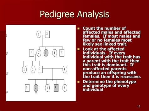 Ppt Chapter Complex Inheritance And Human Heredity Powerpoint Presentation Id