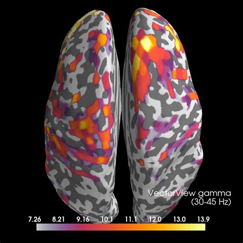 Compute Source Power Spectral Density Psd Of Vectorview And Opm Data — Mne 0221 Documentation