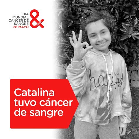 Fundación Dkms Chile Home Facebook