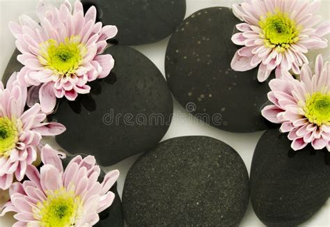 Spa Massage Stones Stock Image Image Of Care Nature 5258253