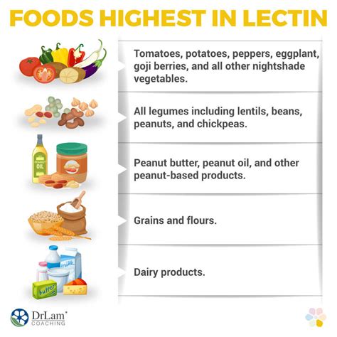 Why Is Lectin Bad For You