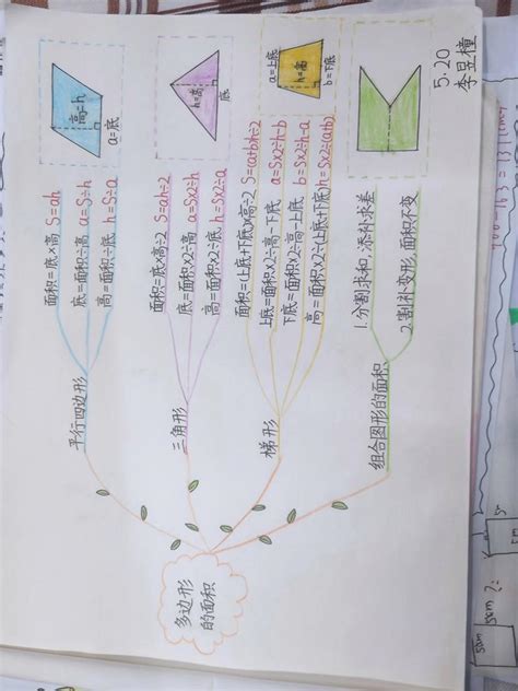 五年级上册多边形思维导图 五年级上册多边形思维导图数学 图片 网专笔记