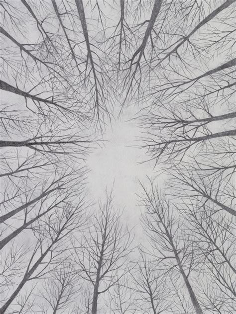 Deciduous Canopy Ii Made2measure
