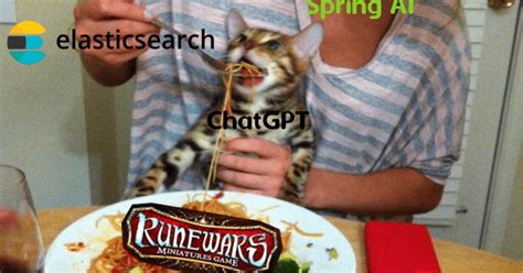 Rag Made Easy With Spring Ai Elasticsearch Elasticsearch Labs