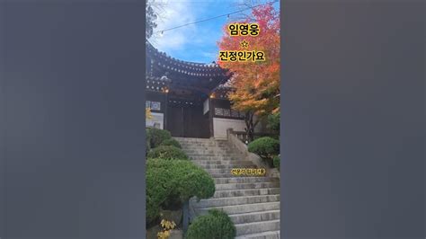 임영웅 트로트 쇼츠 진정인가요 임영웅유튜브 영웅시대 한일톱텐쇼 미스터트롯2 미스터로또 트롯천재 미스쓰리랑