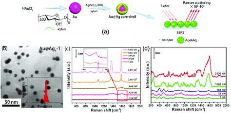 A Principle Scheme Of The Synthesis Of Au Ag Core Shell Nanoparticles Download Scientific