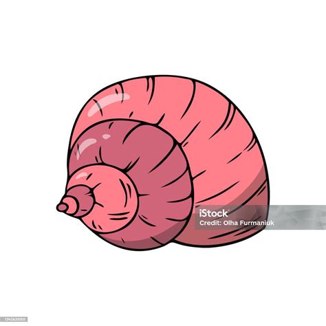 평평한 조개 껍질 손으로 그린 바다 기호 잉크 펜으로 그려진 화석 콘치 0명에 대한 스톡 벡터 아트 및 기타 이미지 0명