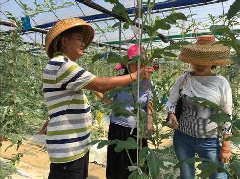 湛江实验站 新闻动态 全方位加强合作为地方三农提供技术支撑