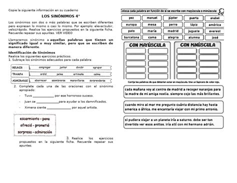 Los Sinónimos 4° Pdf