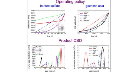 Seeding And Optimization Of Batch Reactive Crystallization Industrial