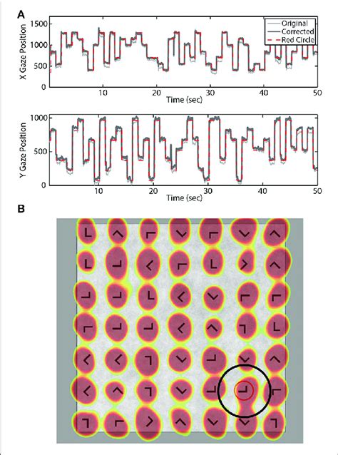 Gaze Location Estimation A Example X And Y Gaze Vectors Before And