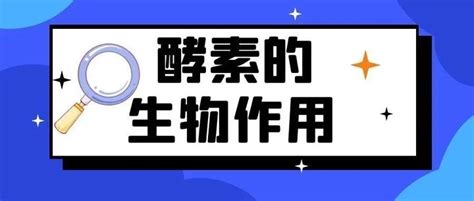 减肥不想运动？纤咔咔轻松润肠，满足你的小 腰”求！ 知乎