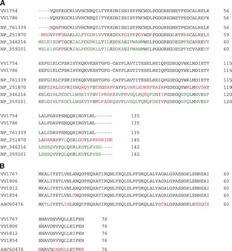 Comparative Genome Analysis Of Vibrio Vulnificus A Marine Pathogen