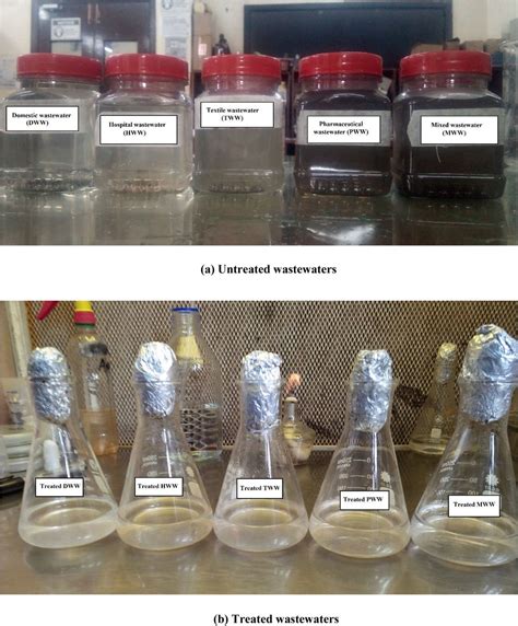 Indigenous Bacillus Paramycoides And Alcaligenes Faecalis 54 Off