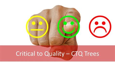 Six Sigma Critical To Quality Steps To Produce Ctq Tree