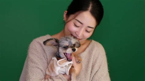 Vlog 일상 브이로그 제리랑 놀기 서울 나들이 운동 루틴 등등 Youtube