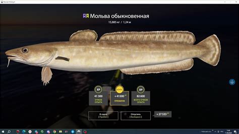ФАРМ В ВЫХОДНЫЕ БЫВАЕТ В РУССКОЙ РЫБАЛКЕ 4 СТРИМ РОЗЫГРЫШИ РР4 Youtube