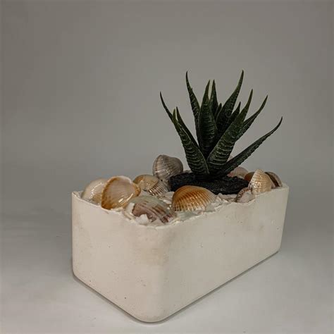 Кашпо — цена 50 грн в каталоге Горшки для растений Купить товары для дачи и сада по доступной