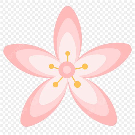 아름다운 벚꽃 일러스트 핑크색 식물 5 꽃잎 벚꽃 클립 아트 아름다운 벚꽃 분홍색 벚꽃 Png 일러스트 및 Psd 이미지