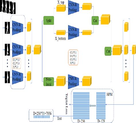 Figure 2 From Gait Recognition Based On Region Segmentation And Non