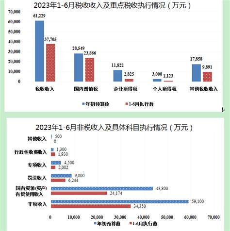 关于2023年上半年预算执行情况的报告