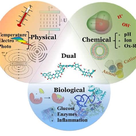 Xiaoyan Zhang Principal Investigator Professor Research Profile