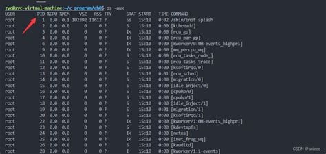 Linux进程管理：fork、vfork与exec函数详解 Csdn博客