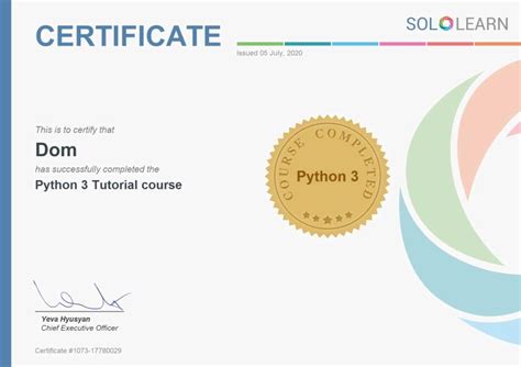 Iman Damoon Imani On Linkedin Python3 Certificate On Sololearn Just Testing The Skills That