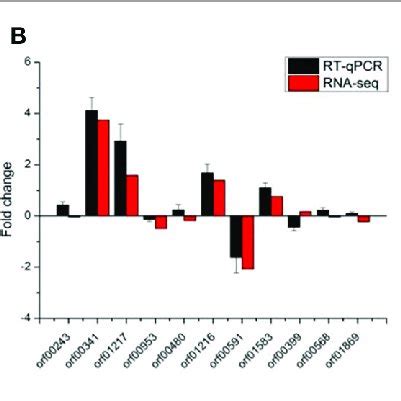 Validation Of RNA Seq Data Using RT QPCR With The Internal Control