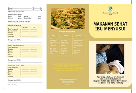 MAKANAN SEHAT IBU MENYUSUI