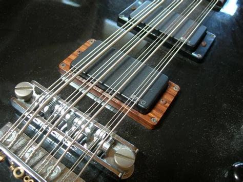 12 String Bass String Bass Bass Guitar Lessons Bass Guitar