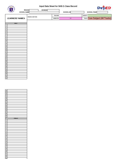 Input Data Sheet For Shs E Class Record Learners Names Pdf