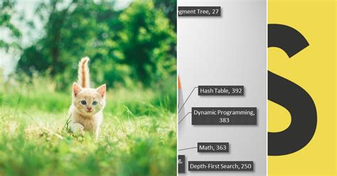7 Stories About Algorithms Curated By Sde Medium